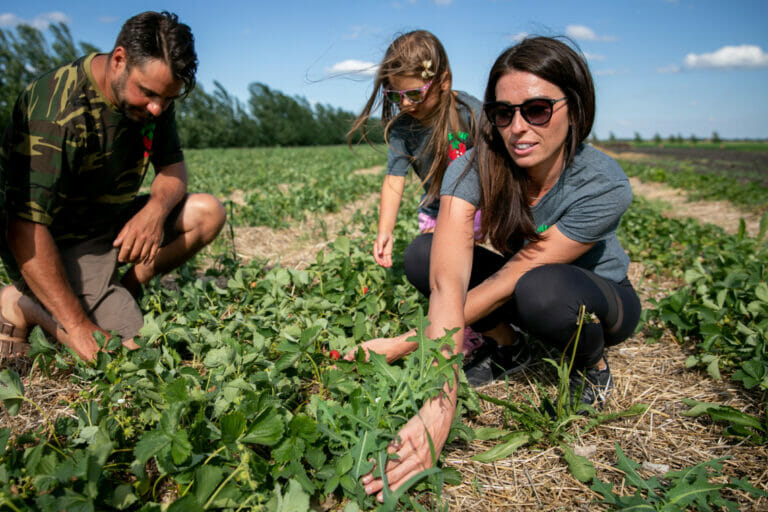 Local Culinary Experience at Prairie Berry – Bonjour Manitoba